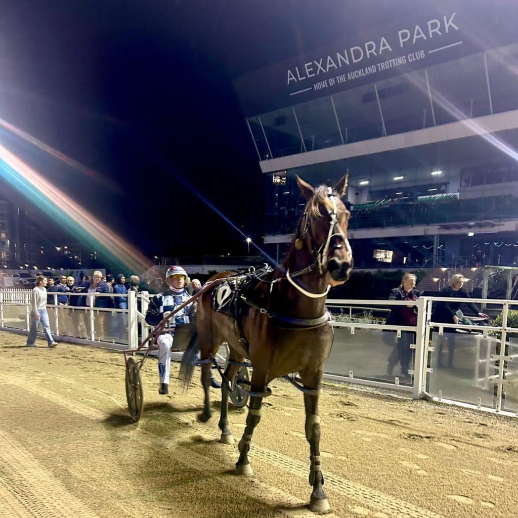 Harness Racing Training - New Zealand Trotting Owners Association