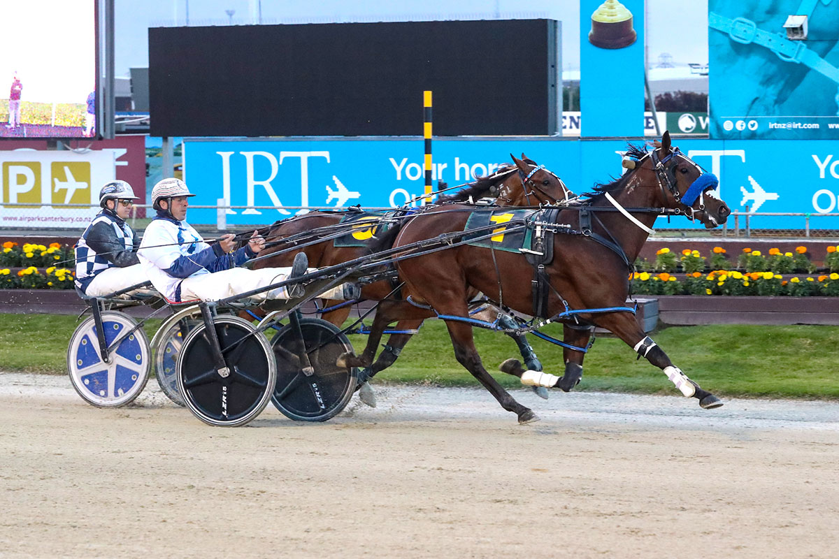 OFF N RACING SYNDICATIONS - New Zealand Trotting Owners Association